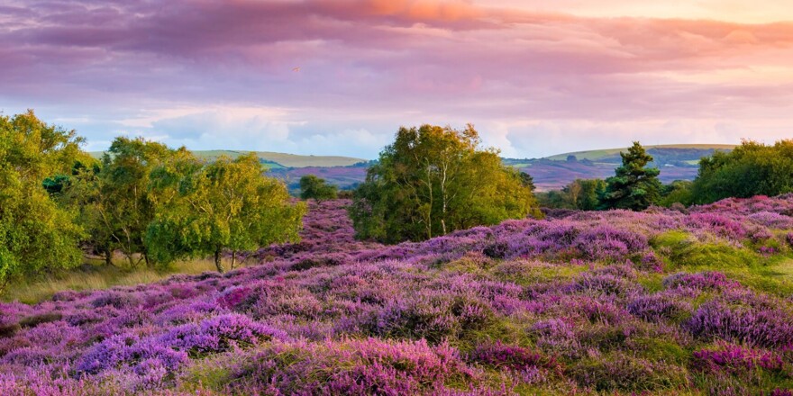 Packing Case Repair in UK - Emeli's Blog - Sustainable Compression ...