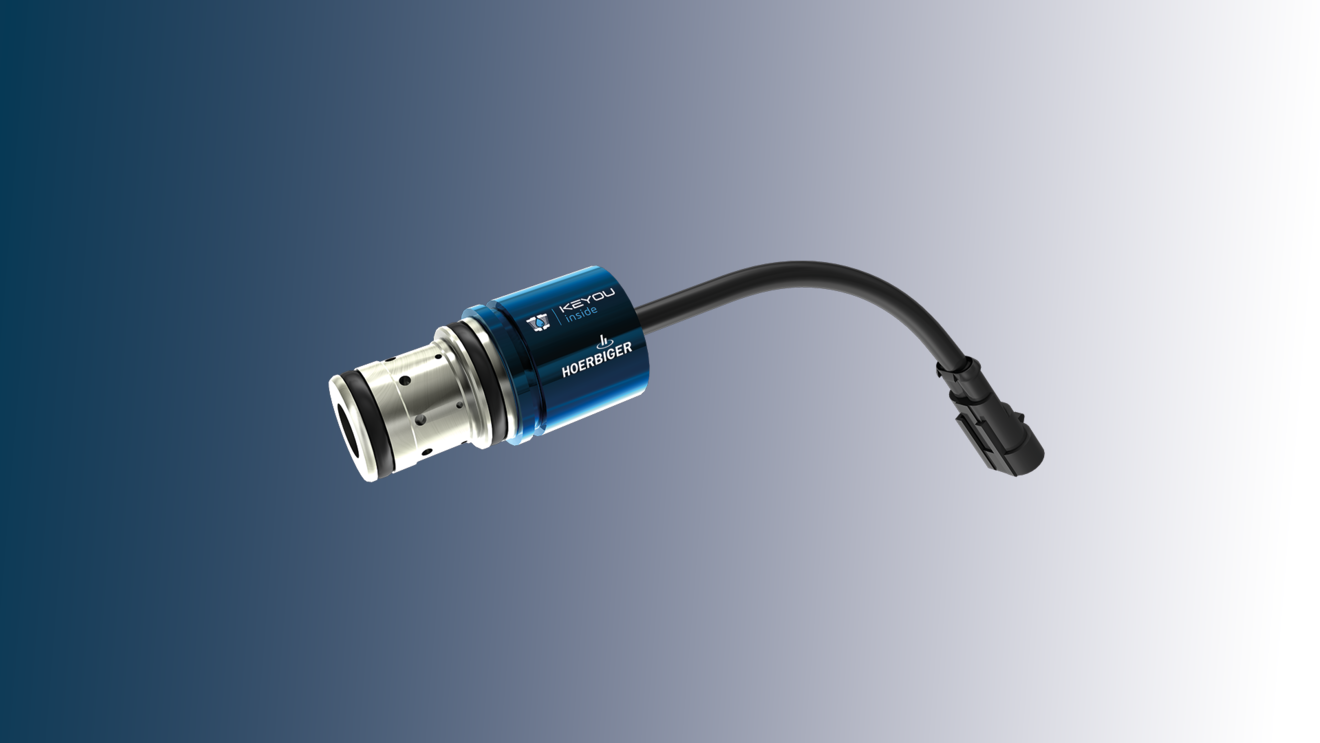 H2 injection - Components for gas engines - Products & Services ...