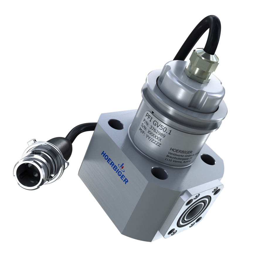 Port-fuel injection (PFI) - Components for gas engines - Products ...